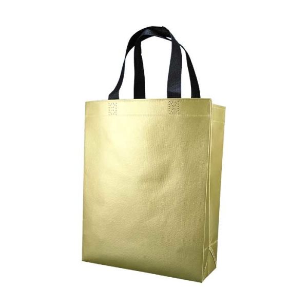 Quality Spunbonded Reusable Non Woven Shopping Bags Biodegradable Non Woven Fabric Bag for sale