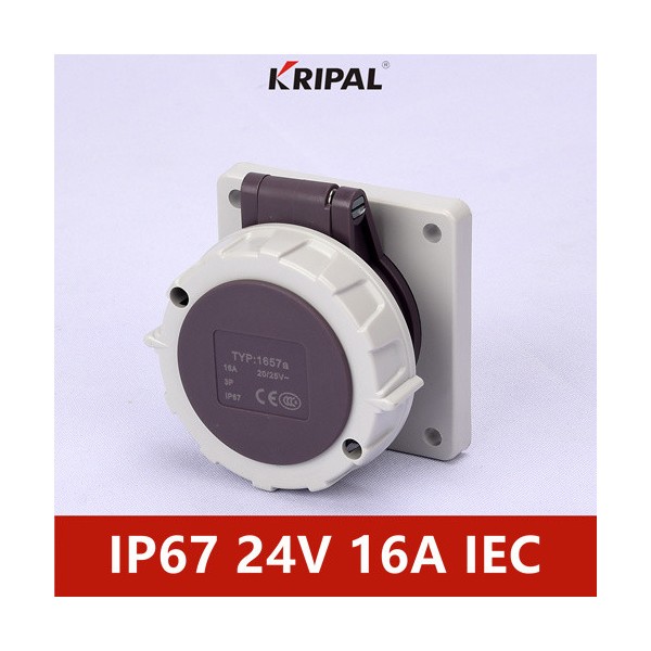 Quality 48V 32A IP67 3P Low Voltage Panel Mounted Socket IEC Standard for sale