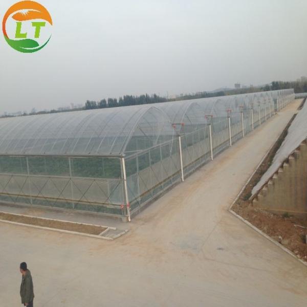 Quality 95% Transmittance Agricultural Plastic Film Greenhouse With Film Cover Material for sale