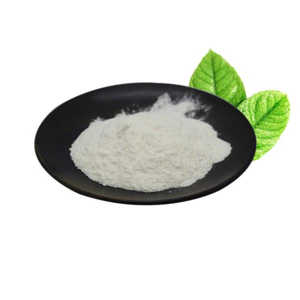 Quality Honey Extract Powder Freeze Dried White Powder Lyophilized Powder for sale