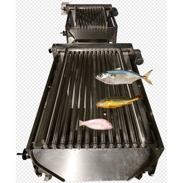 Quality High Speed Automatic Fish Sizing Machine For Grading Many Kinds Ocean Fish for sale