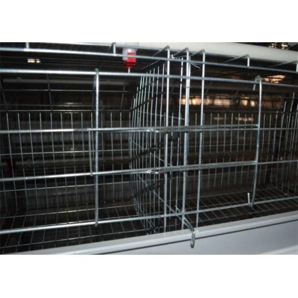 Quality 4 Tier Layer Cage For Layer Farming for sale