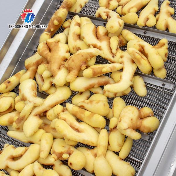 Quality SS304 Fruit And Vegetable Processing Line For Central Kitchens for sale