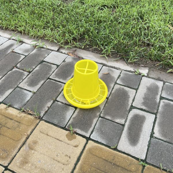 Quality No Waste Chicken Feeder durable feed bucket Standard Plastic for sale