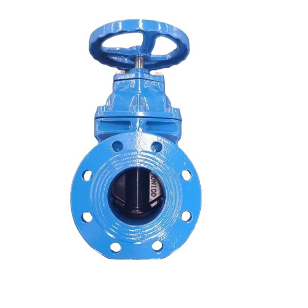 Quality API 6D Ductile Iron Gate Valve Blue Paint Designed To API 600 Standard for sale