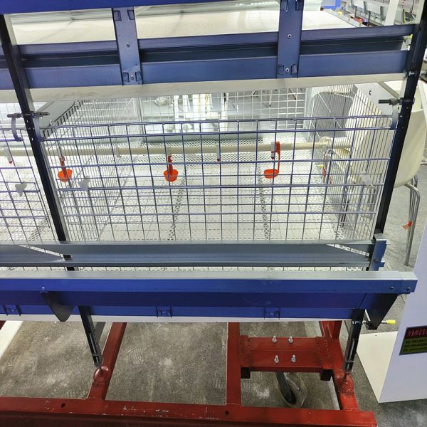 Quality 3-9 Floor Farm Battery Chicken Cage With Automatic System for sale