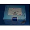 china Biopharmaceutical Kanamycin ELISA Kit Plasmid Detection 95% High Accuracy