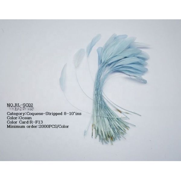 Quality Dyed Pattern Party Decoration Stripped Rooster Coque Feather 12-14inch / 14 for sale