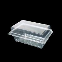 Quality ISO9001 Customized PET Food Grade Plastic Container Blister Clamshell Packaging for sale