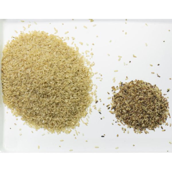 Quality CCD Carame Optical Rice Color Sorter for sale