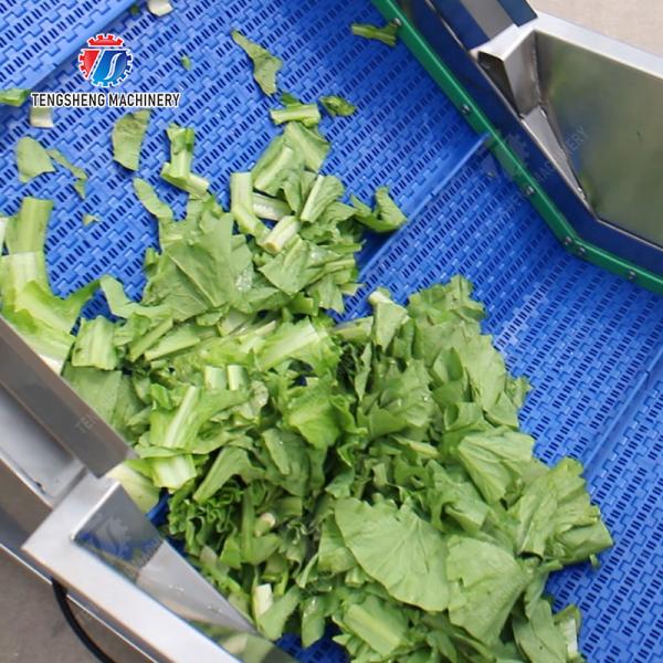 Quality vegetable drying equipment Fruit and vegetable selection washing and drying for sale