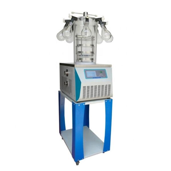 Quality Laboratory Pharmaceutical Lyophilizer Vacuum Freeze Dryer Freeze Dryer for sale