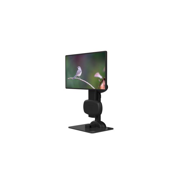 Quality Personal LCD Monitor Stand Aluminum Alloy Lifting Swivel Computer Stand for sale