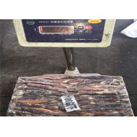 Quality Illex Argentinus Fresh Frozen Squid for sale