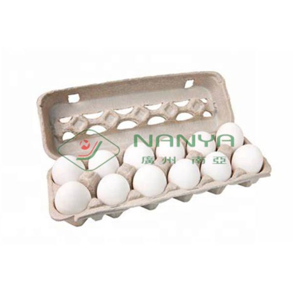 Quality Automatic Pulp Molding Equipment / Rotary Recycle Paper Egg Tray Manufacturing for sale