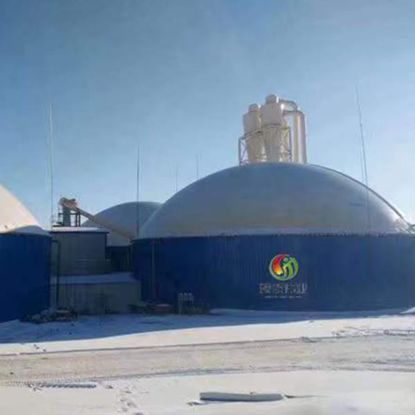 Quality Green PDFE Double Membrane Biogas Holder Gas Holder In Biogas Plant for sale