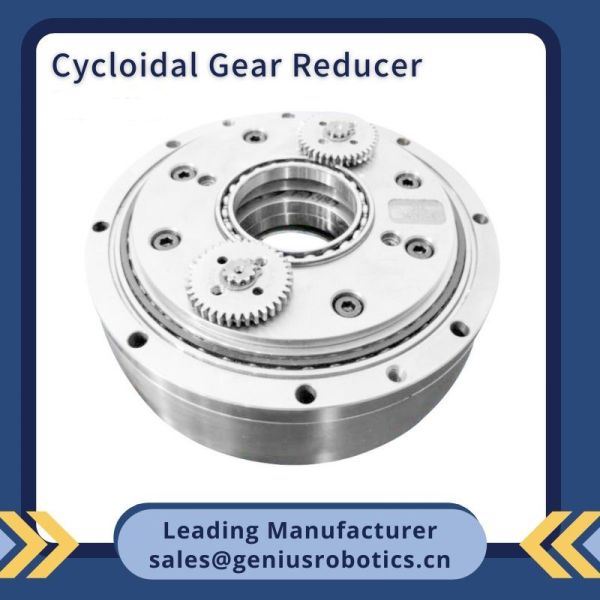 Quality Hollow Shaft Cycloidal Pin Gearbox Reducer Light Duty, Repace Nabtesco RV-50C for sale