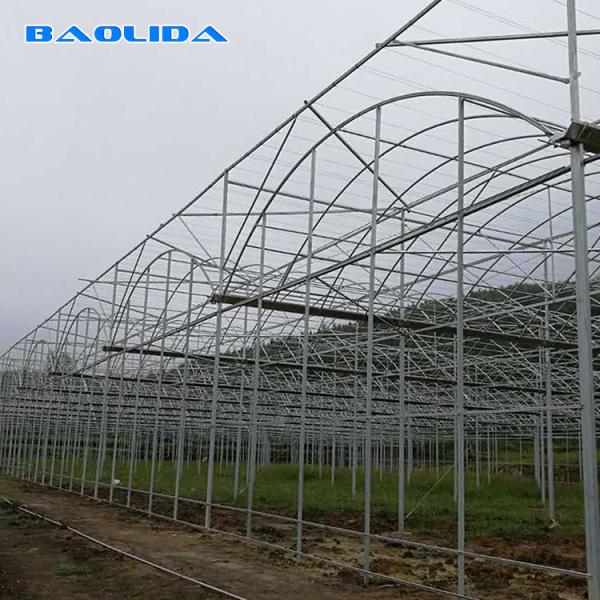 Quality Clear Plastic Grow Tunnel / Agriculture Farm Plastic Tunnel Greenhouse for sale