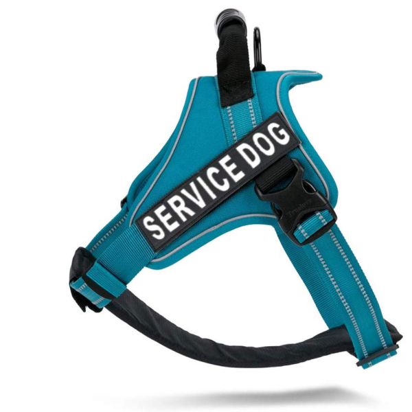 Quality Durable Outdoor Adventure Easy Walk Pet Harness With Removable Chest Padding for sale