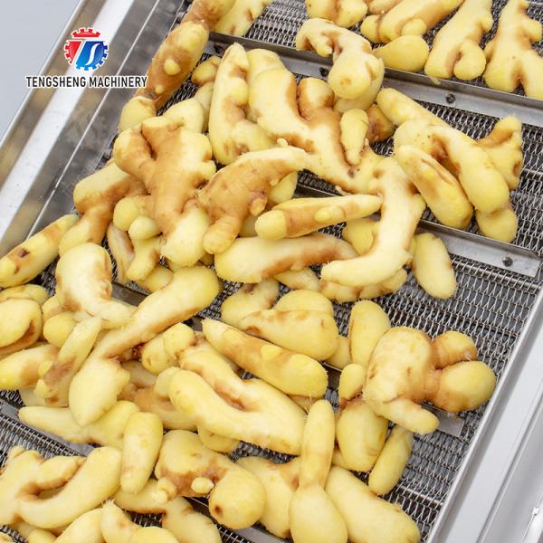 Quality Brush bubble cleaning, drying, selection and cutting production line Revolutioni for sale
