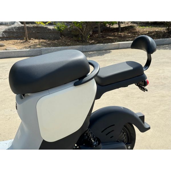Quality L1-D 350W Electric Two-Wheeler for sale
