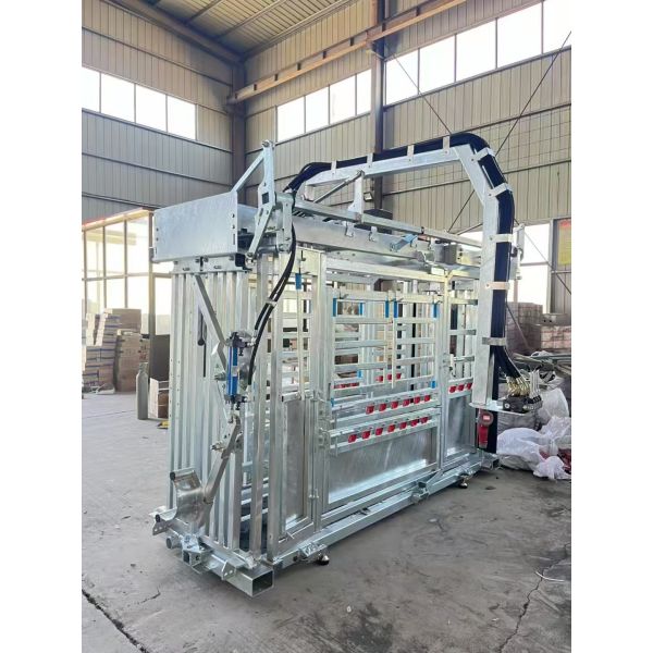 Quality Galvanized Cattle Crush With Weighing Scale for sale