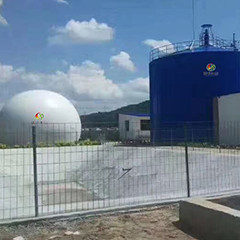 Quality Giant Cow Manure Methane Digester ASBR Anaerobic Sequencing Batch Reactor for sale