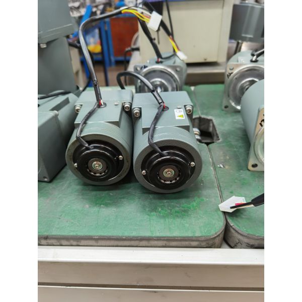 Quality Single Phase Variable Speed AC Micro Gear Motor For Packing Machine for sale