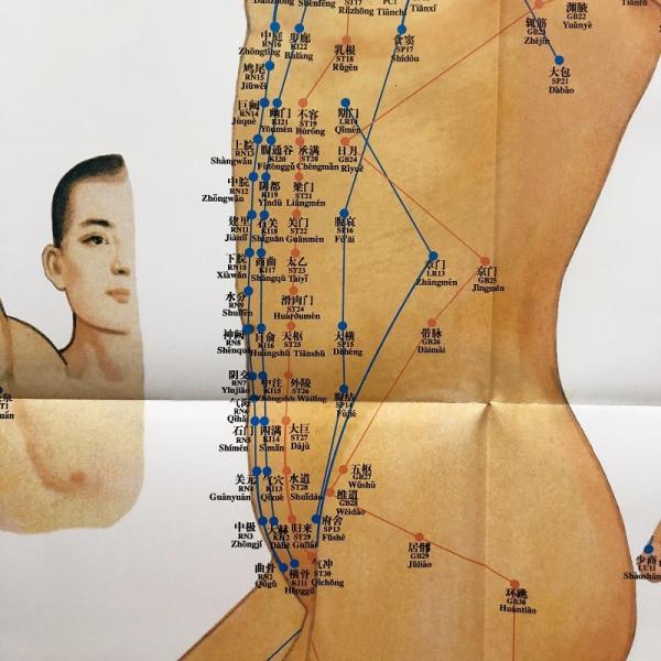 Quality 3pcs Meridian Acupuncture Chart ISO Acupuncture Culture for sale