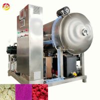 Quality Easy Operate Vacuum Freeze Dried Food Machine with High Productivity and Pre for sale