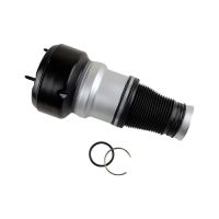 Quality Auto Air Suspension Spring For Mercedes S - Class W221 W216 Rear A2213205513 for sale