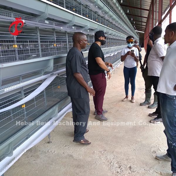 Quality H Type Layer Battery Cage System 4 Rows Layer Poultry Farm Equipment CE Approval Sandy for sale