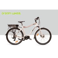 Quality Mid Motor Electric Bike for sale