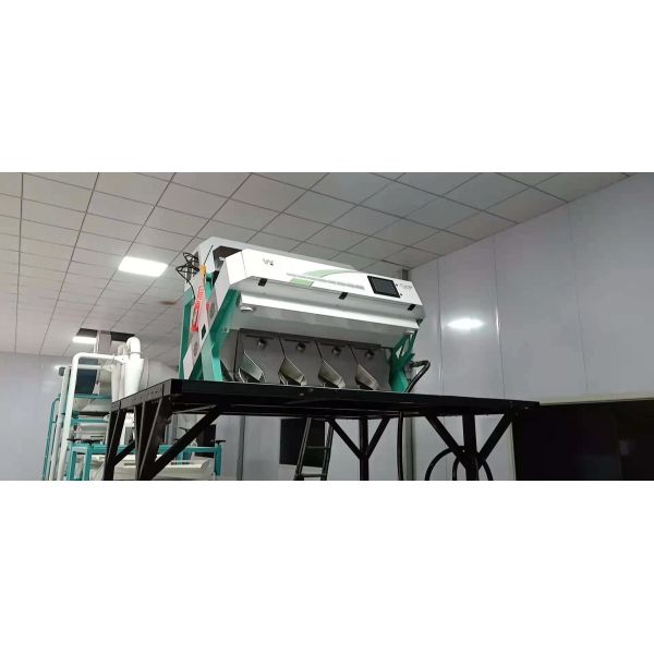 Quality WENYAO Multifunction Color Sorter , Quinoa Oat Grain Color Sorter for sale