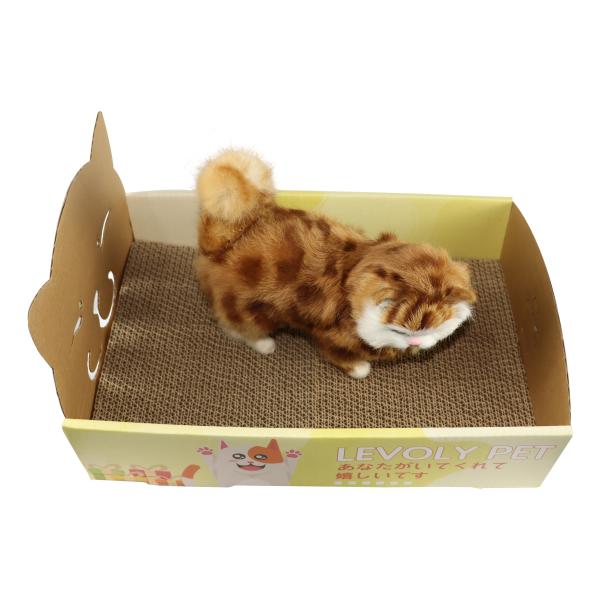 Quality Cat Scratch Box Cardboard Scratching Post House Durable 40x27x20CM for sale