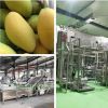 china 500-50000KG/H Mango Pulp Production Line Stainless Steel 380V 410V
