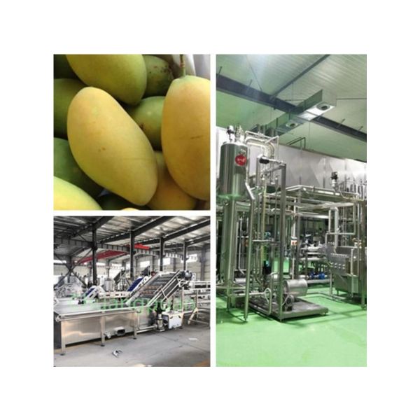 Quality 500-50000KG/H Mango Pulp Production Line Stainless Steel 380V 410V for sale