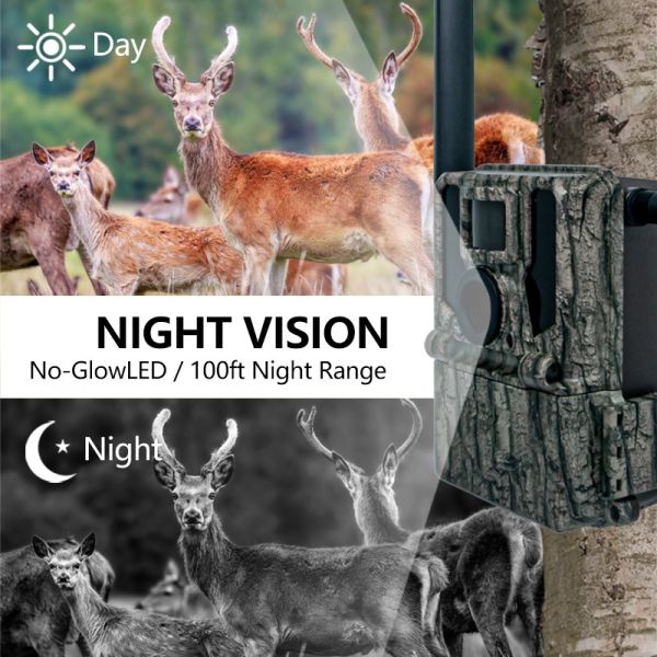 Quality 4G Cellular Wildlife Forest Trail Cameras for sale
