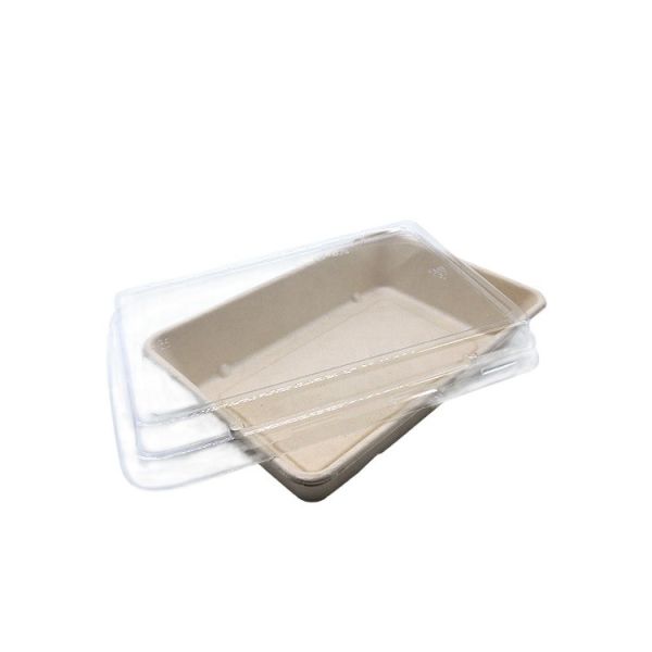 Quality 11g Dinnerware Fast Food Biodegradable Bagasse Tableware Sushi Tray With Pet Lid for sale