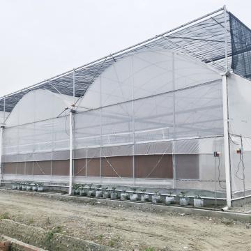 Hydroponic Growing Systems Greenhouse Low Cost Greenhouse Agriculture Plastic