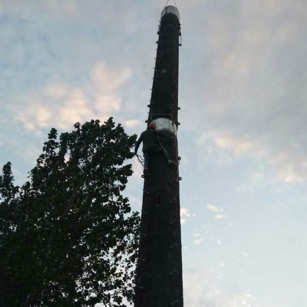Quality Bionic Q345b Camouflage Cell Phone Tower Galvanized Fake Tree for sale