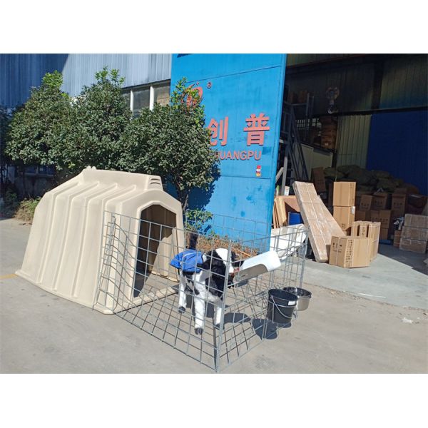 Quality 2200 X 1500 X 1550mm Calf Housing Plastic Calf Shelters For Calves Sheep And Goats for sale
