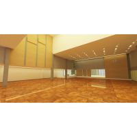 Quality 2/2/0.5mm Auditorium Amercia Oak Veneer Microperforated Wall Acoustic Sound for sale