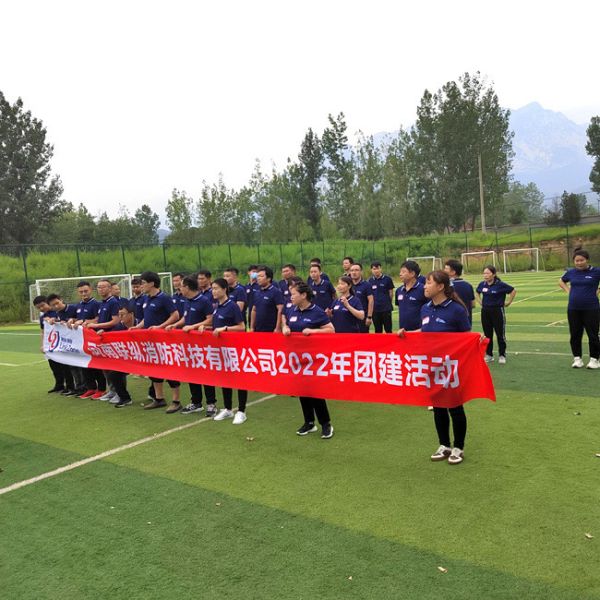 Quality Unsurpassable Automatic Fire Water Monitor Remote Control 0.8Mpa for sale