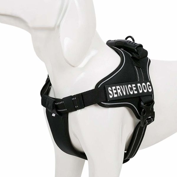 Quality Durable Outdoor Adventure Easy Walk Pet Harness With Removable Chest Padding for sale