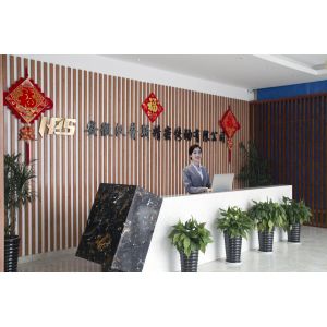 China Factory - Anhui High Precision Gear Transmission Co., Ltd