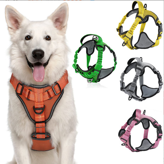 best non pull dog harness