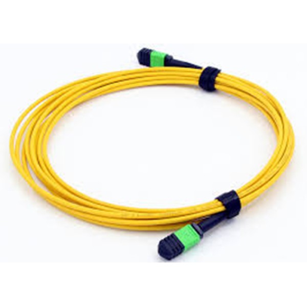 Quality 24 Cores Single Mode Fiber Patch Cord 55dB Return Loss Customized Length for sale
