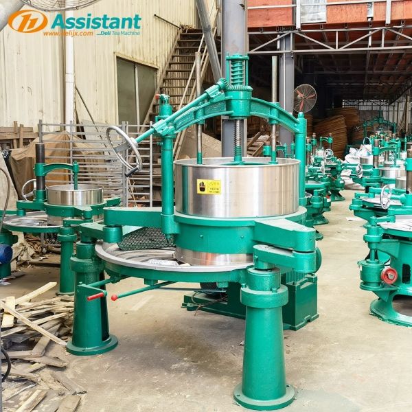 Quality DL-6CRT-75 Tea Processing Rolling Machine with 1310 mm Tea Rolling Disc Diameter for sale
