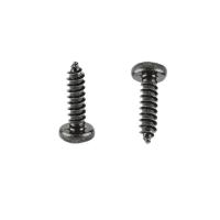 China Waterproof Black Zinc Plated Screws , Toxinfree Self Sealing Roofing Screws factory